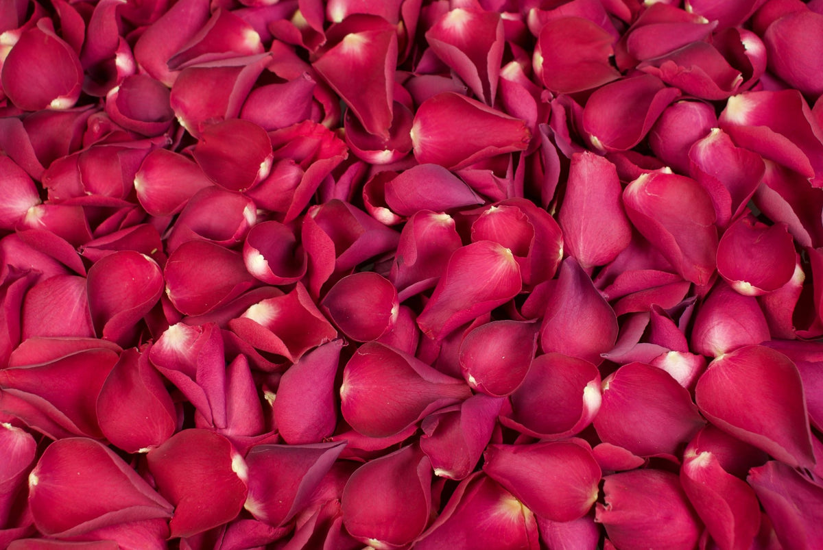 Freeze dried rose petals - Mulberry – Sweet Colours