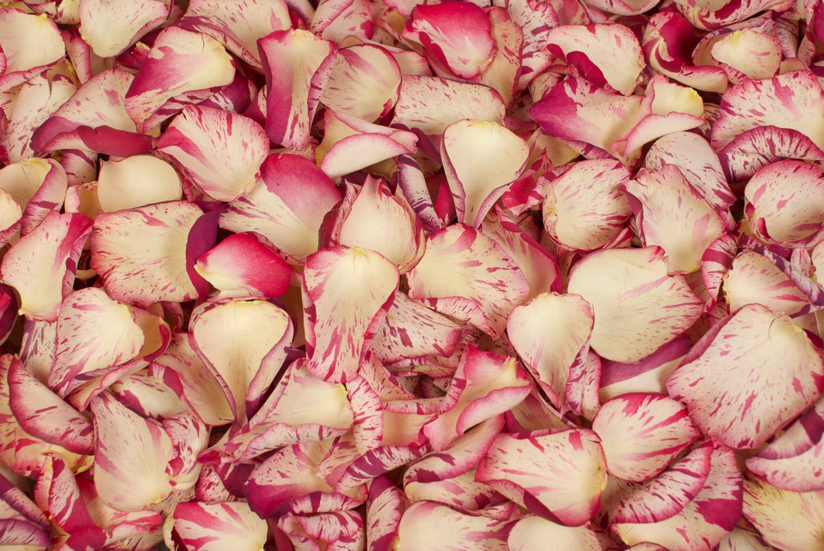 Freeze dried rose petals - Party – Sweet Colours