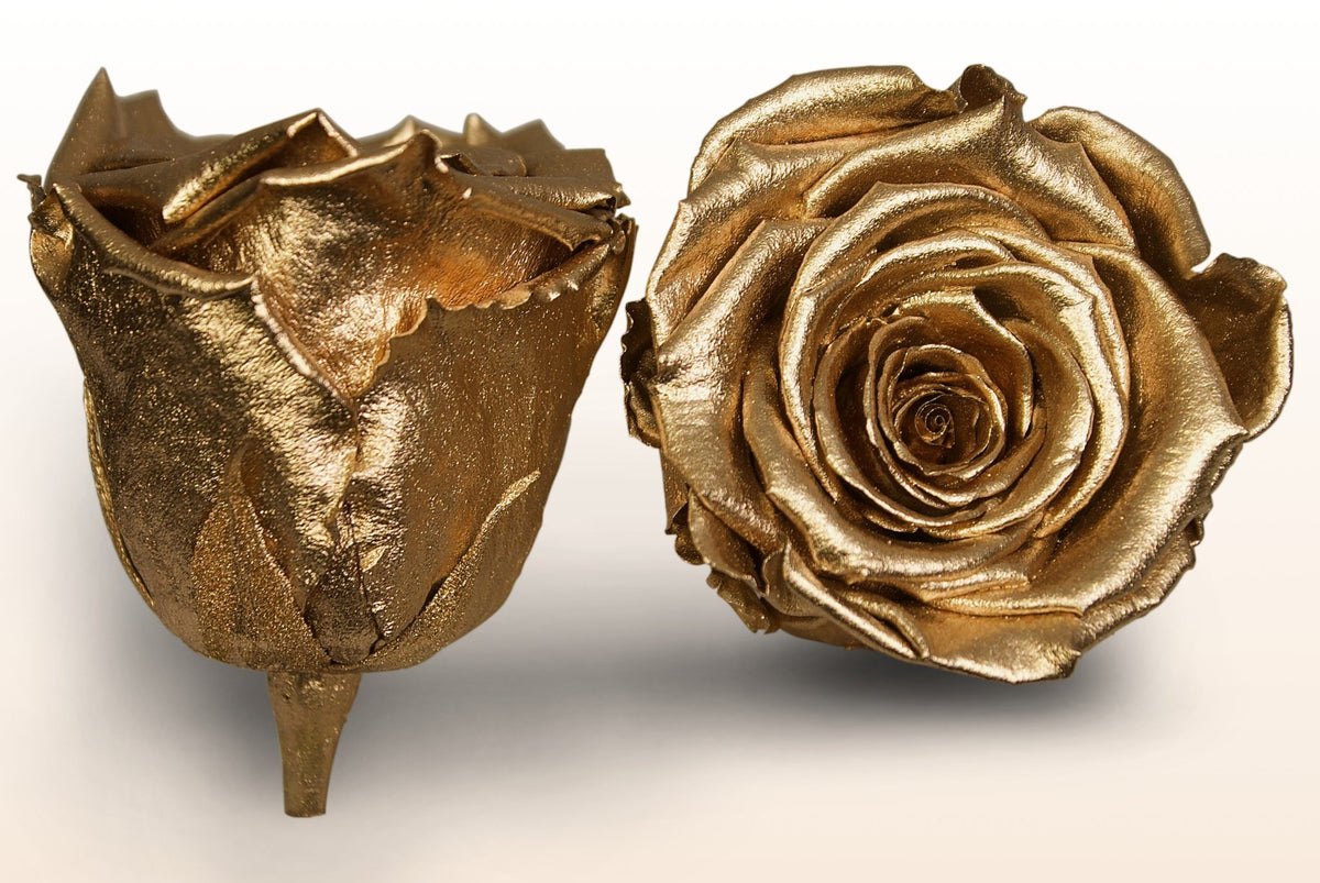 Preserved roses - Metallic gold – Sweet Colours