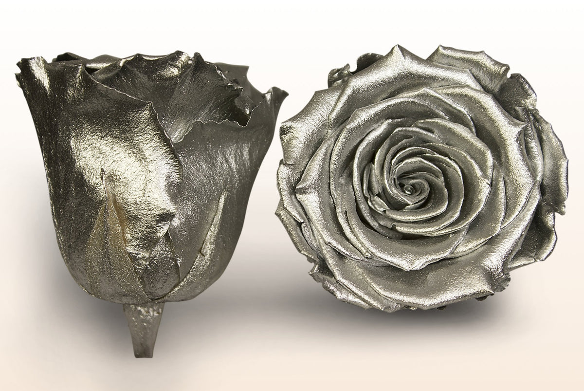 Preserved roses - Metallic silver – Sweet Colours