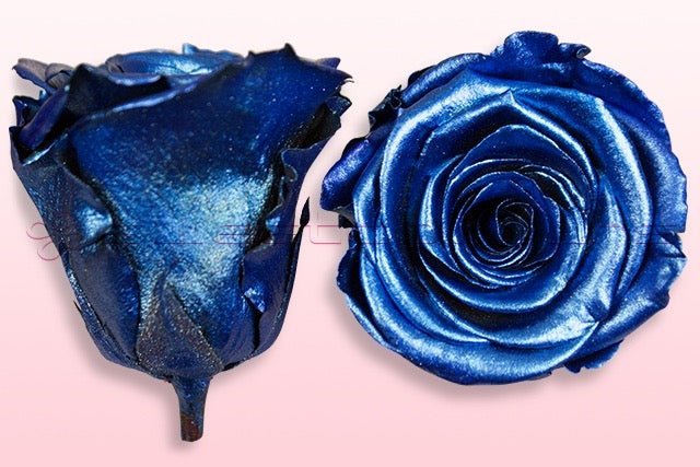 Preserved roses - Metallic blue – Sweet Colours