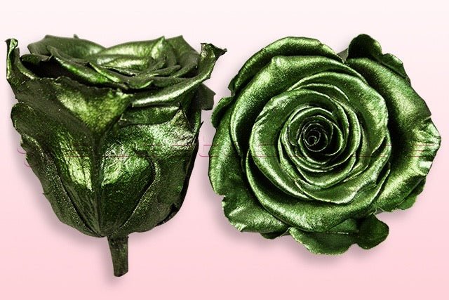 Preserved roses - Metallic green – Sweet Colours