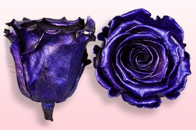Preserved roses - Metallic purple – Sweet Colours